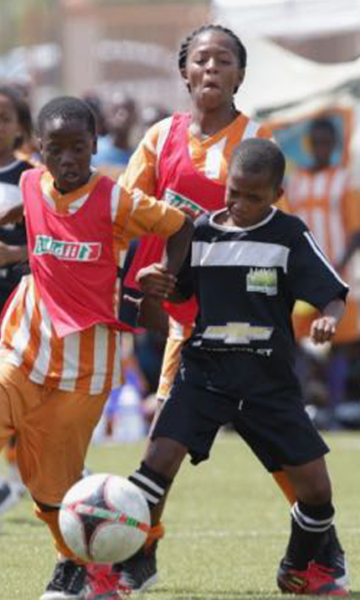 Range of Building Materials For Sale at Build it Hermanus. Visit Us.